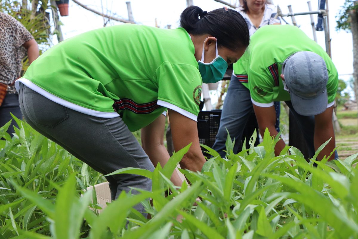 When in the Philippines: Try these uniquely Filipino activities